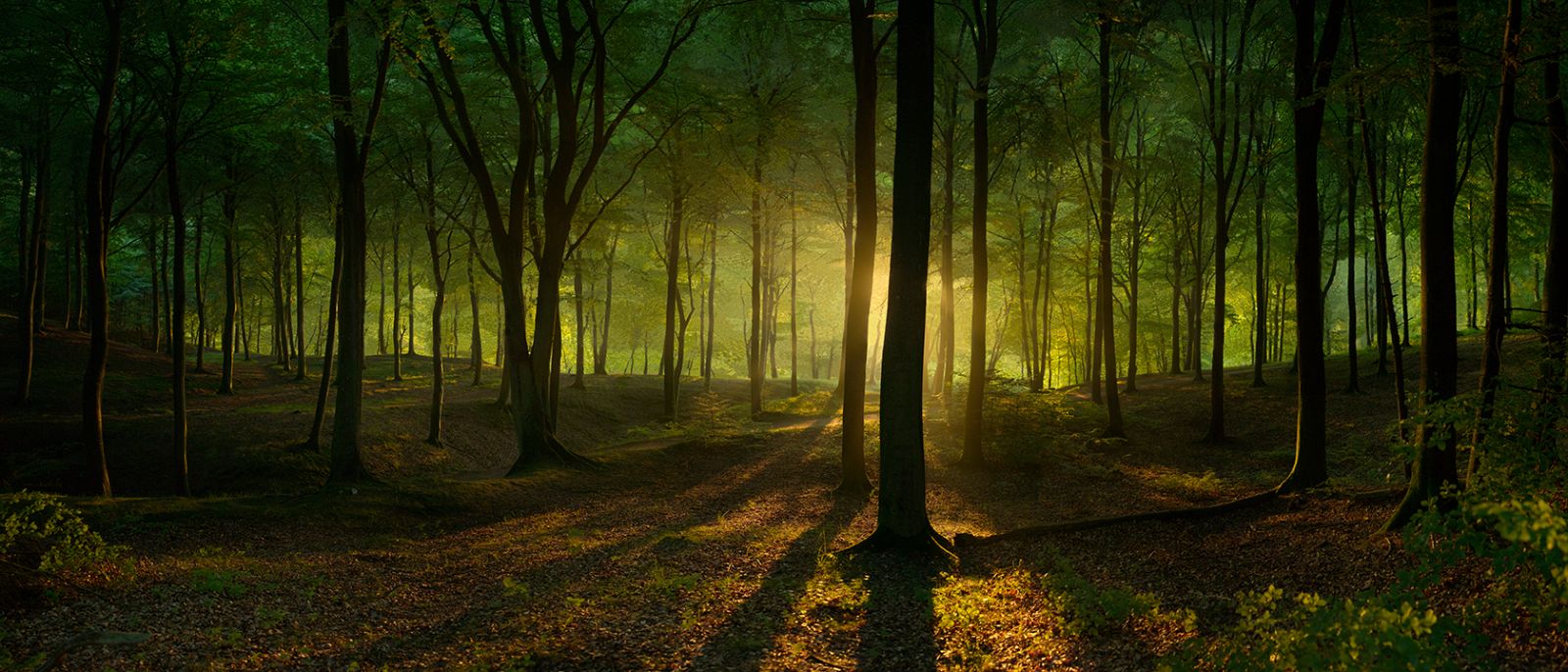 Jesper Rasmussen skildrer mennesket gennem rum, scenografier og ...