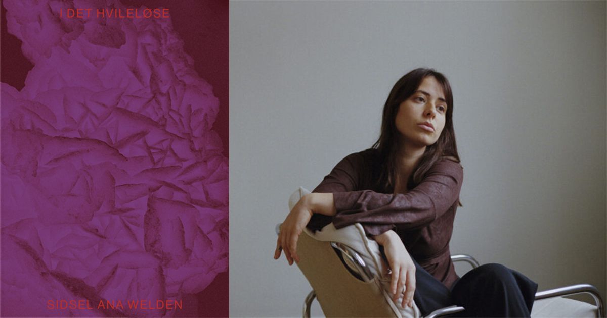 Sidsel Ana Weldens debutroman er en flaksende fin men retningsløs fugl